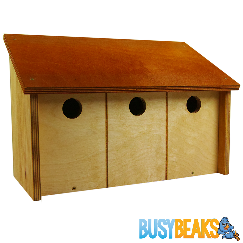 Premium Garden Bird Nest Boxes | Troon Sparrow Terrace | Free Delivery ...